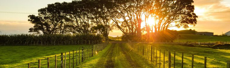 Land Covenants in New Zealand: a guide - Duncan Cotterill