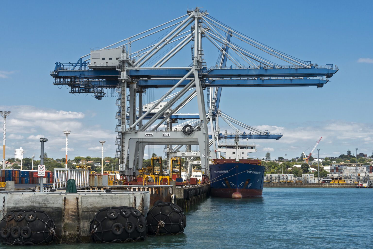 Former CEO of Ports of Auckland fined for health and safety conviction